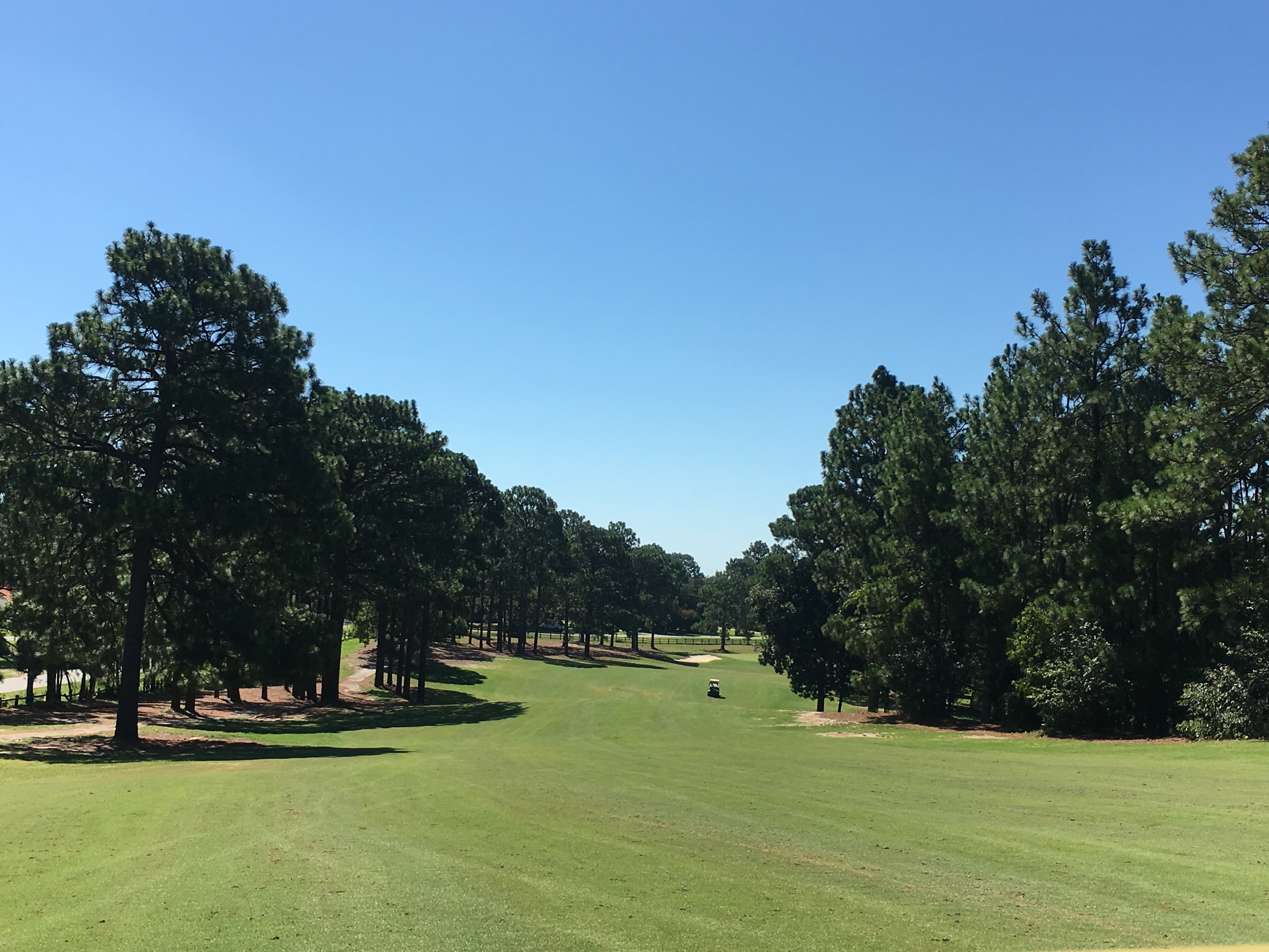 Product List – Divots, Inc.